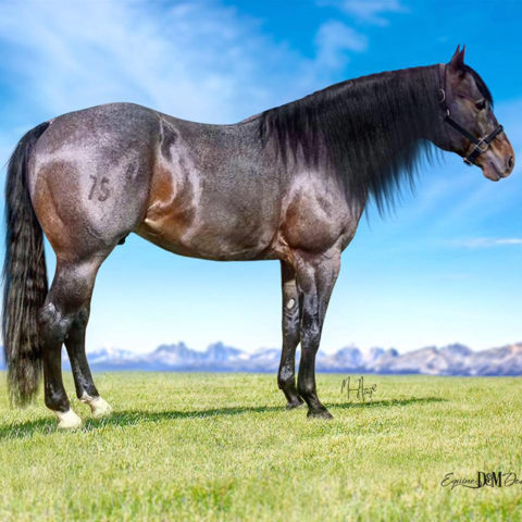 PESI (With Stallion Directory) - WPRA